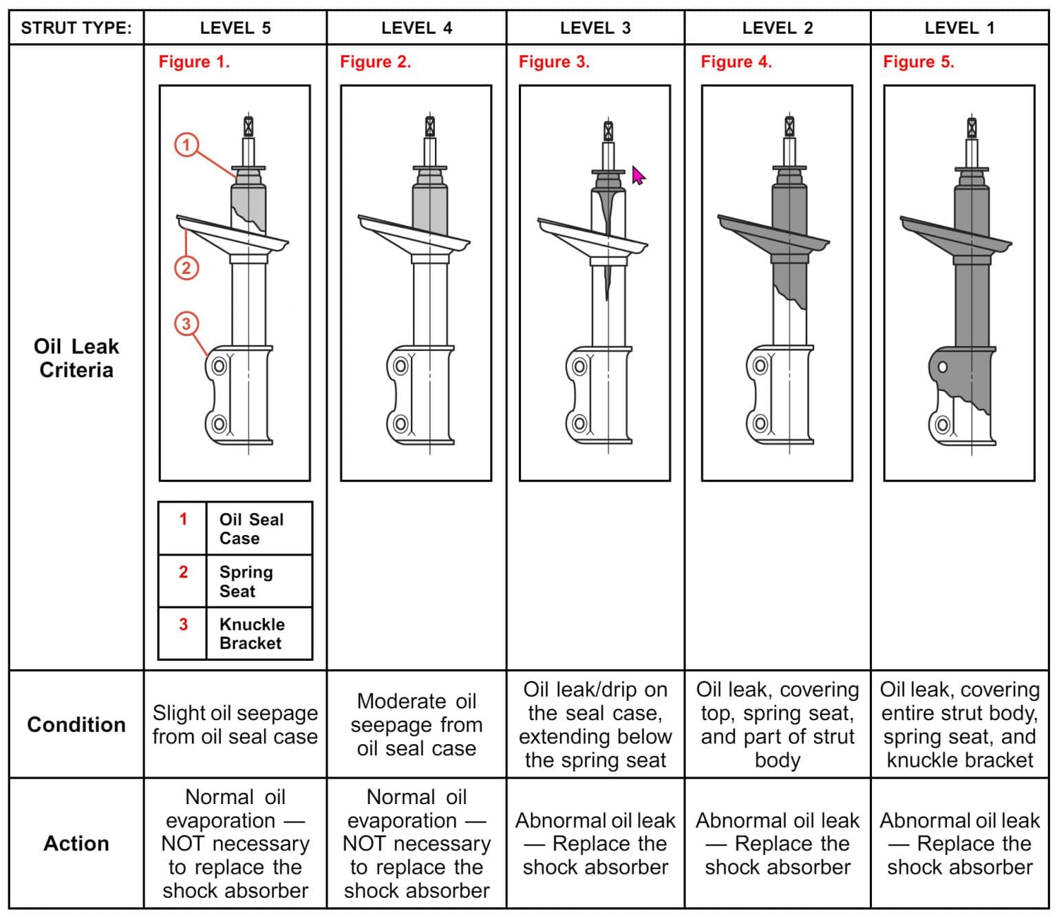 Strut Replacement - Everything you need to know